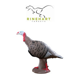 The Archery Company - 3D Targets