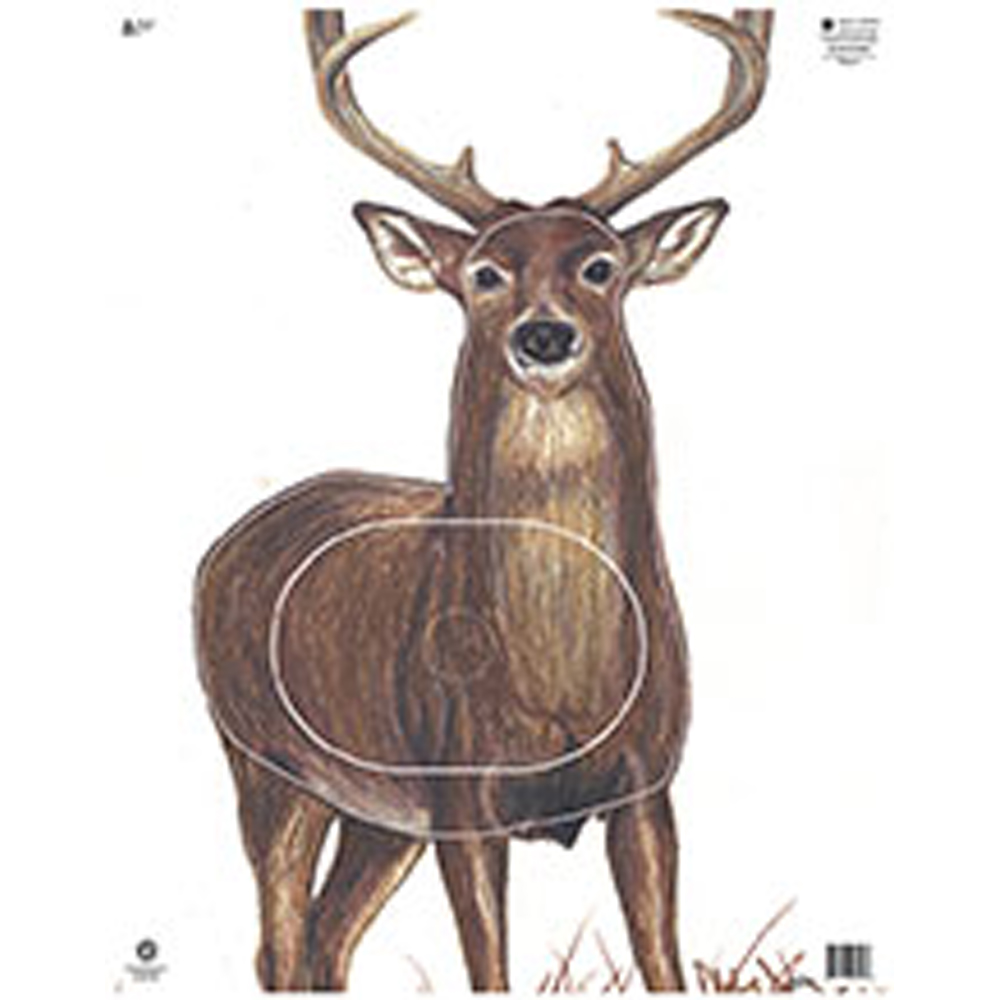 The Archery Company - NFAA Group 2 Target Face - Deer