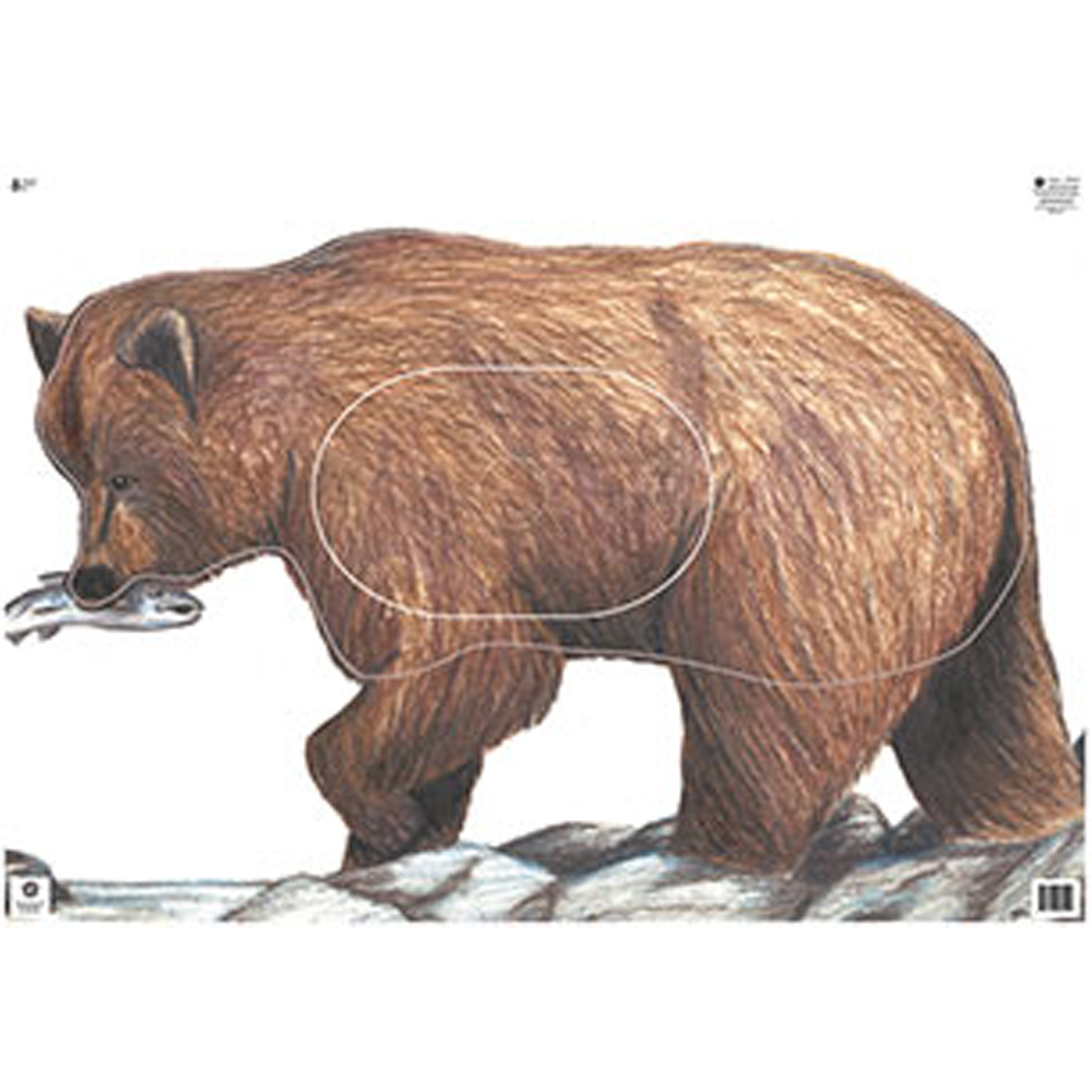 The Archery Company - NFAA Group 1 Target Face - Grizzly Bear